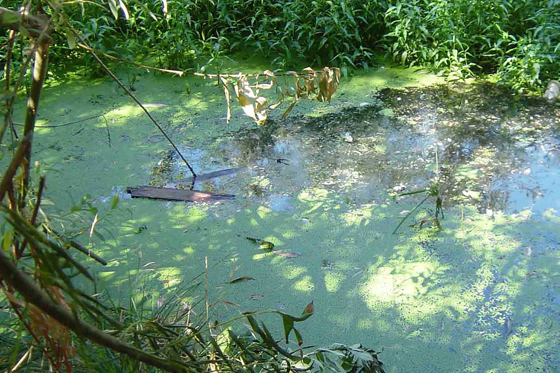 Nutrient Pollution Control Project Romania | Royal Eijkelkamp