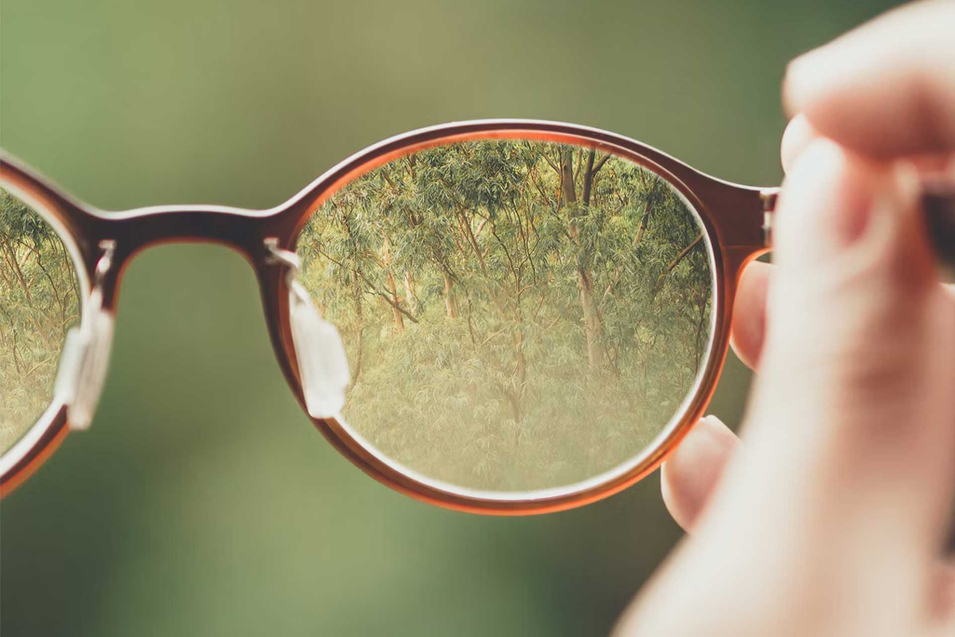 Knowledge hub articles | Eijkelkamp North America